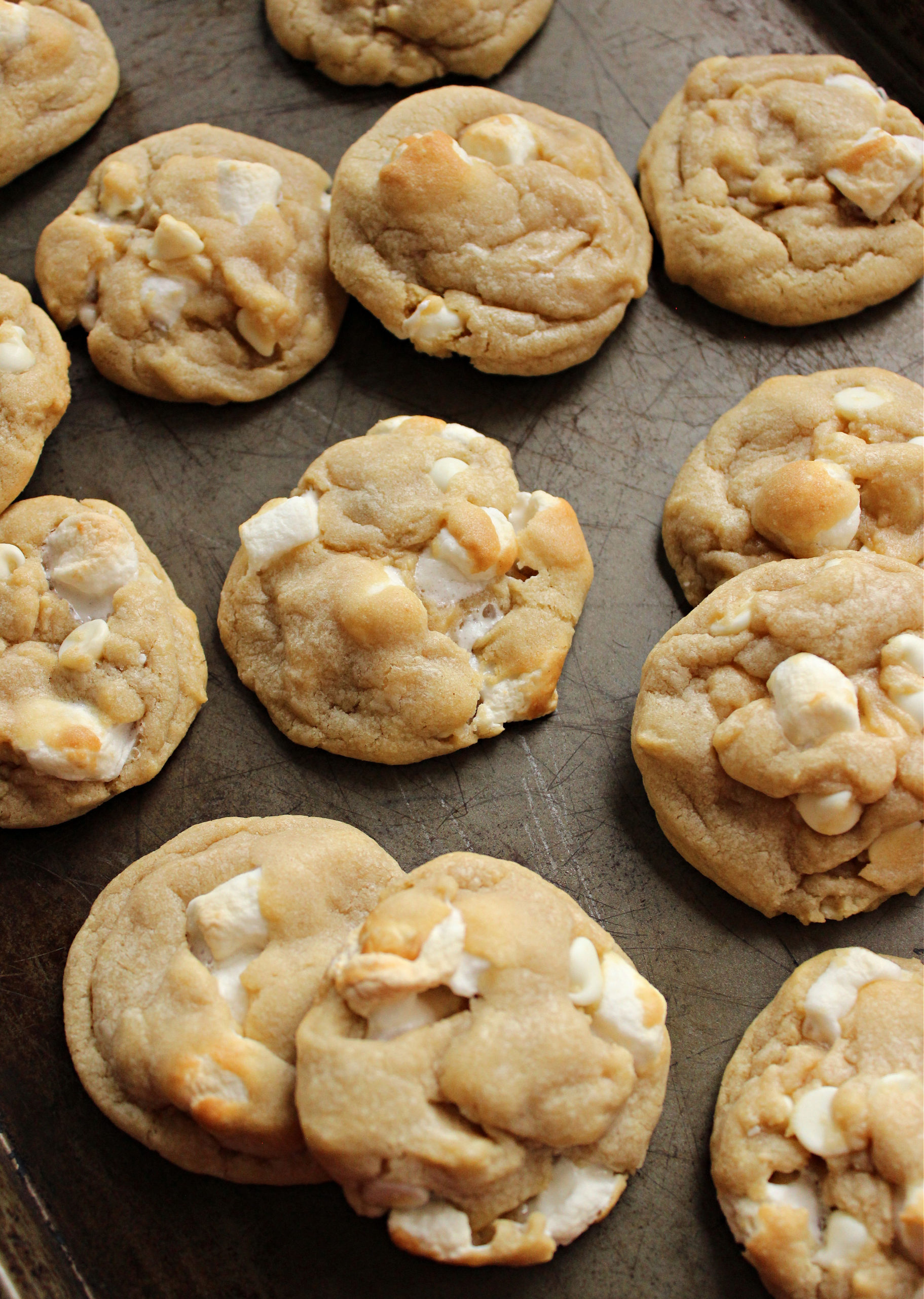 White Chocolate Marshmallow Cookies - I Dig Pinterest