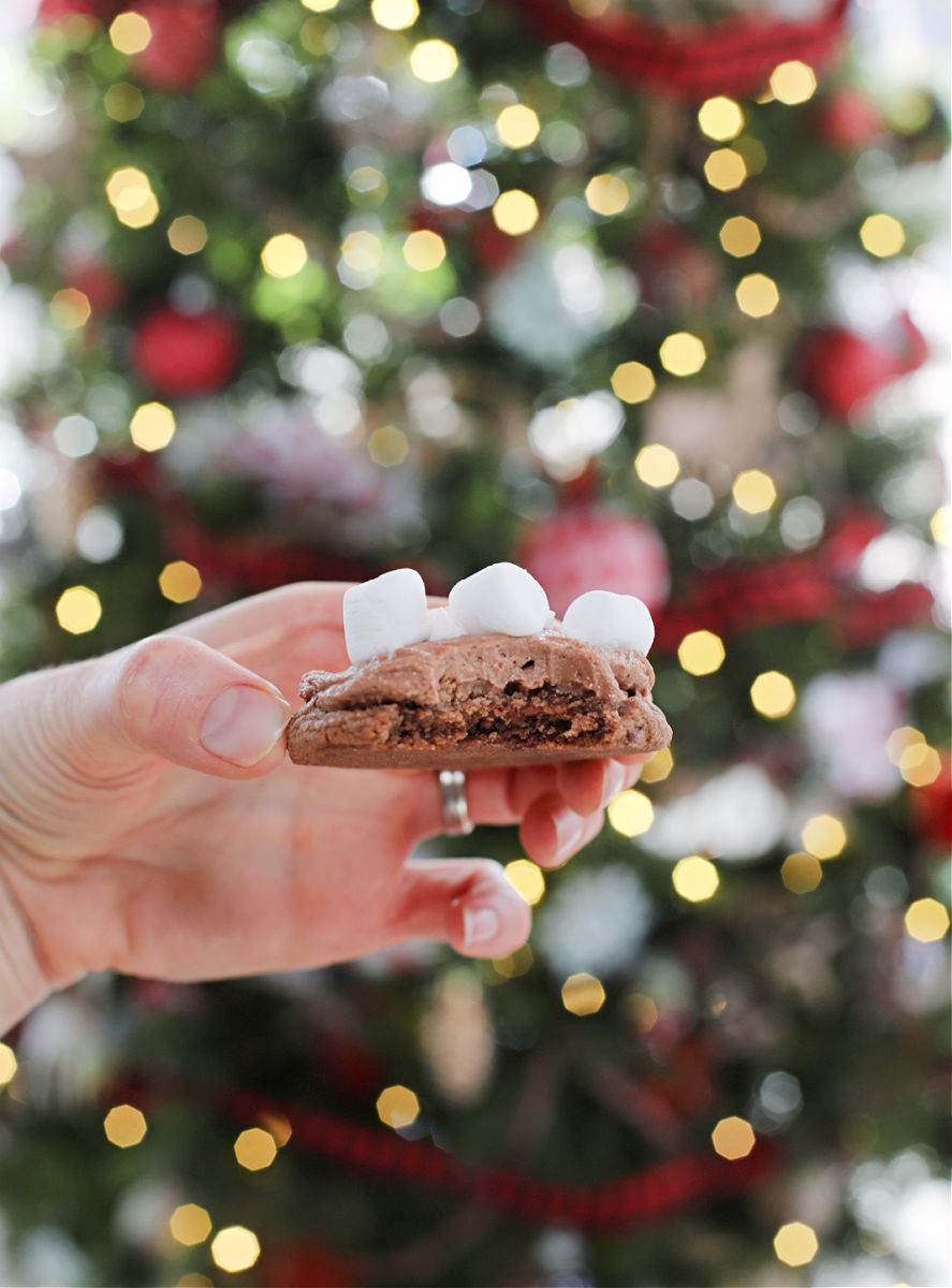 Hot Chocolate Cookies - I Dig Pinterest